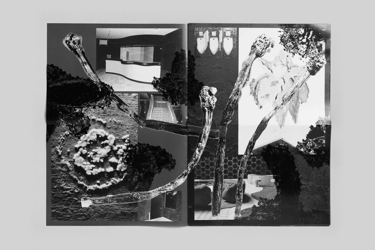 Thomas Mailaender — CORSO | rvb-books